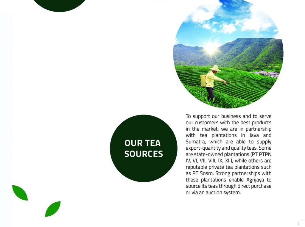 Our Tea Sources – Agrijaya Indonesia